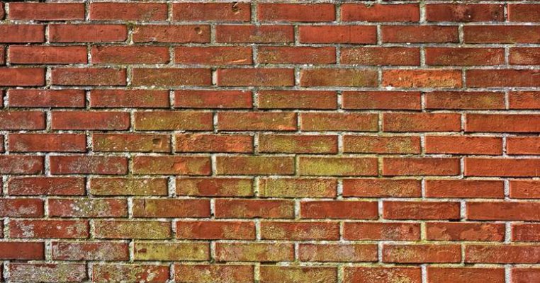 How To Prevent Mold in Your Garage | C & M Garage Doors, LLC